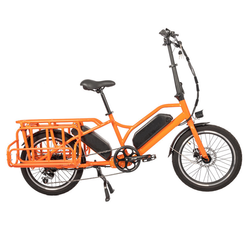 Family E-cargo Electric Bike with 20" Wheels 80km Range and Two 36V ...